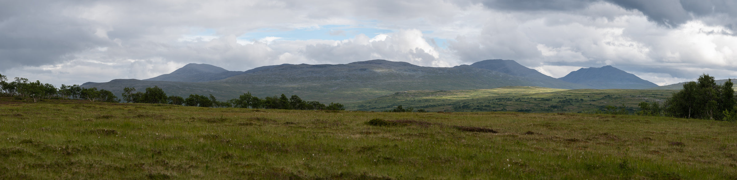 BounceBack Disc Golf | Patches with Velcro – BounceBackDG