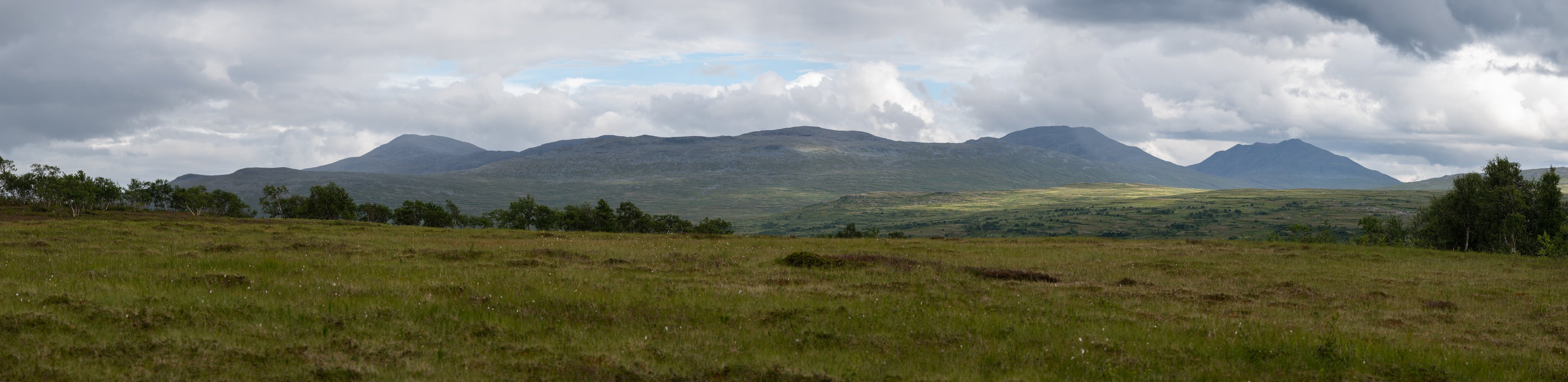 BounceBack Disc Golf | Patches with Velcro – BounceBackDG